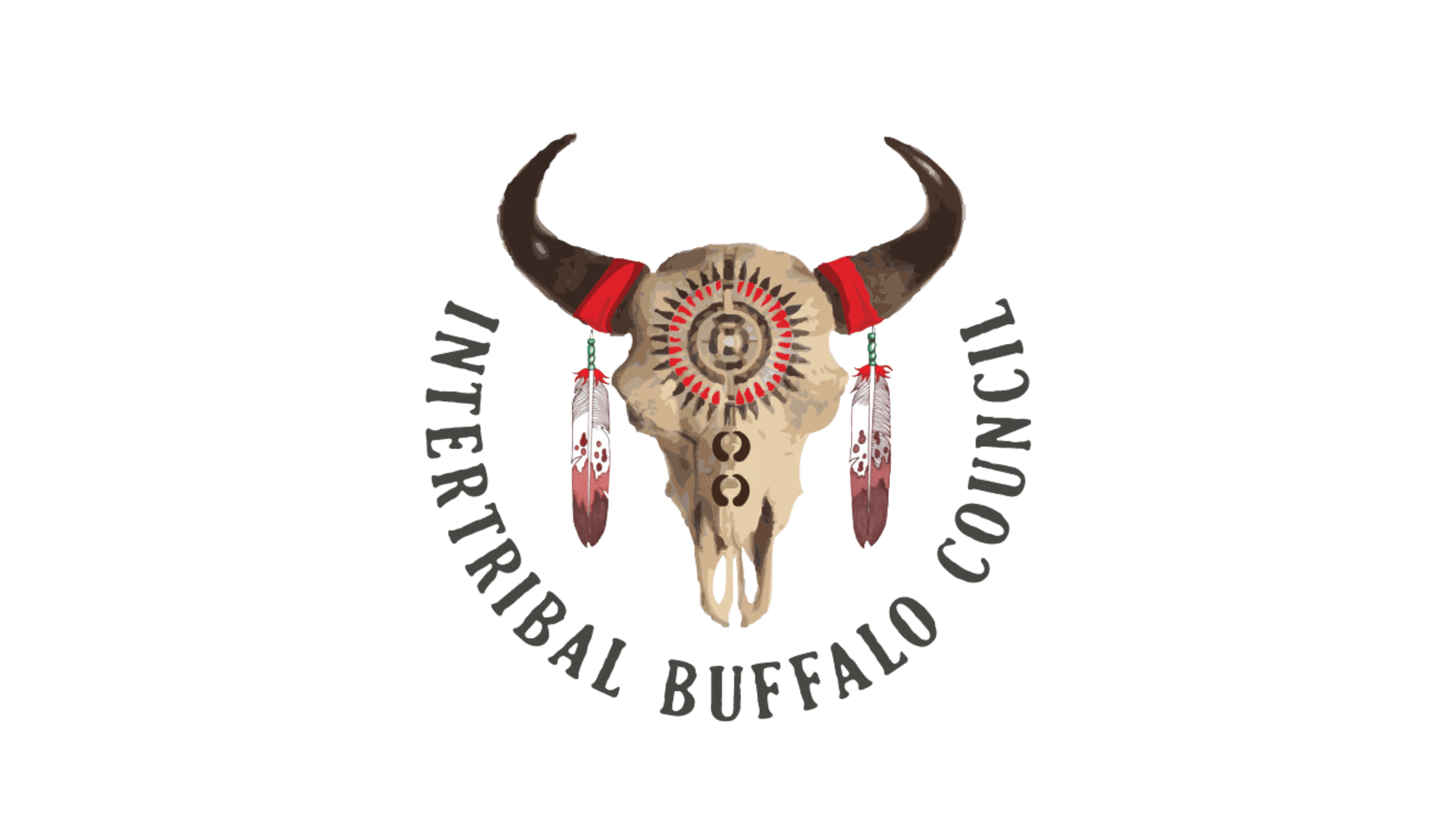 Tribal Buffalo Lifeways Collaboration
